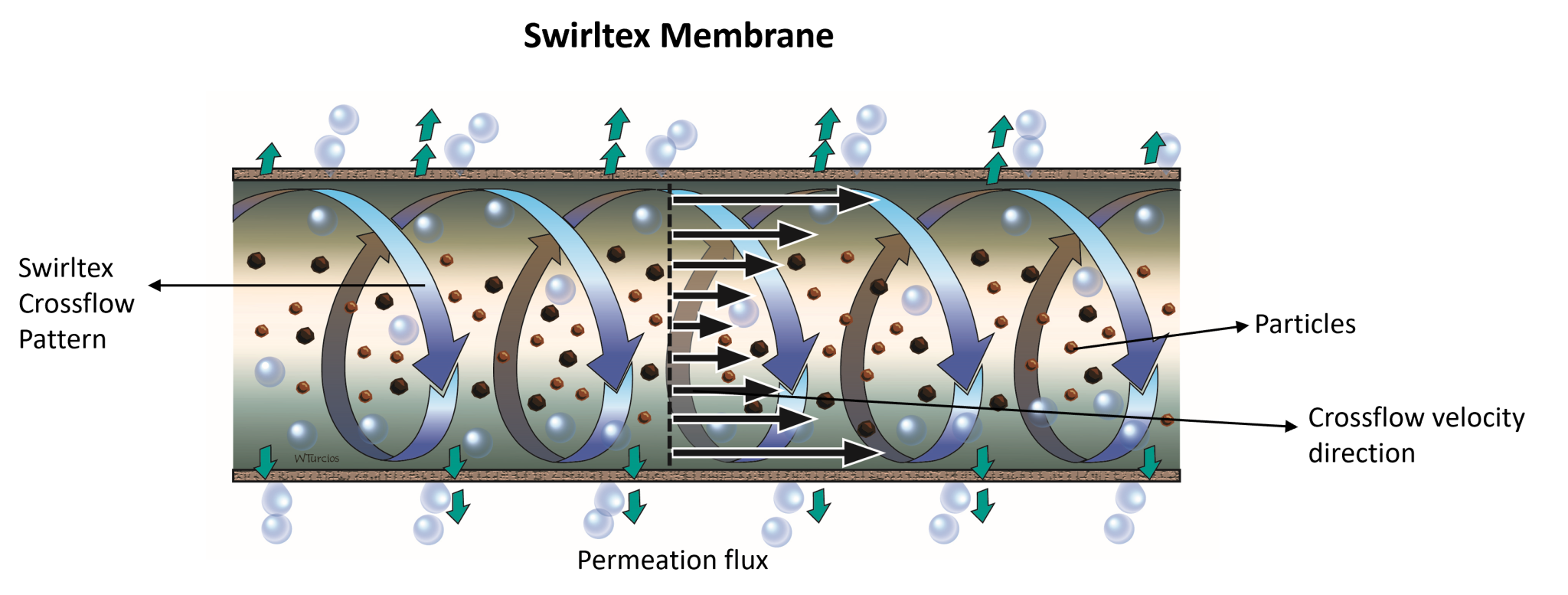 TECHNOLOGY - Swirltex